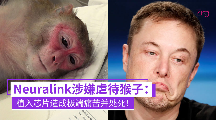 Neuralink涉嫌虐待猴子：植入芯片造成极端痛苦并处死！ - Zing Gadget
