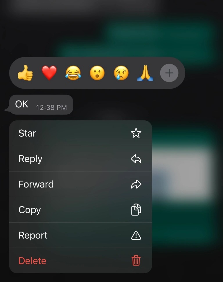 不仅限六个表情符号！WhatsApp更新Reactions功能：可用更多emoji表情在信息中做出反应！ - Zing Gadget