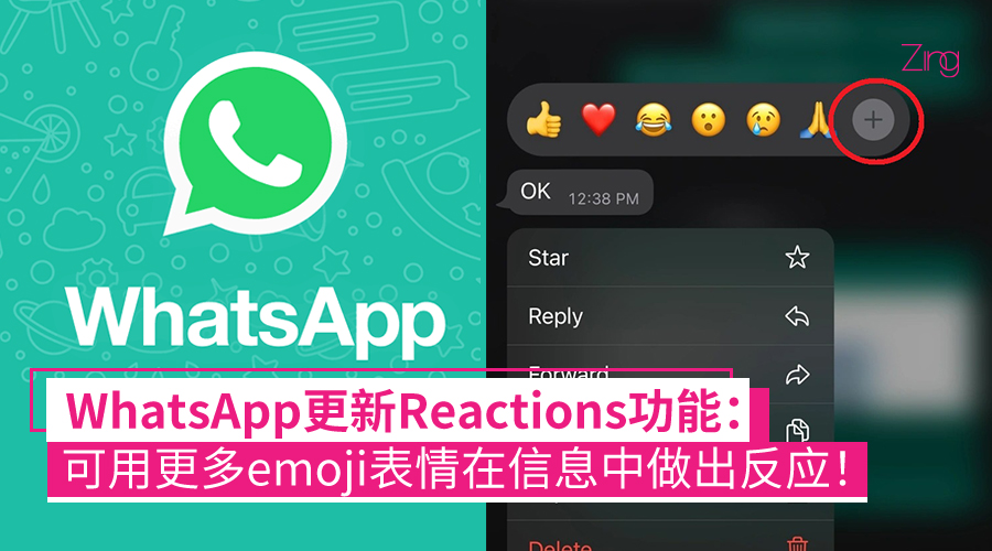 不仅限六个表情符号！WhatsApp更新Reactions功能：可用更多emoji表情在信息中做出反应！ - Zing Gadget